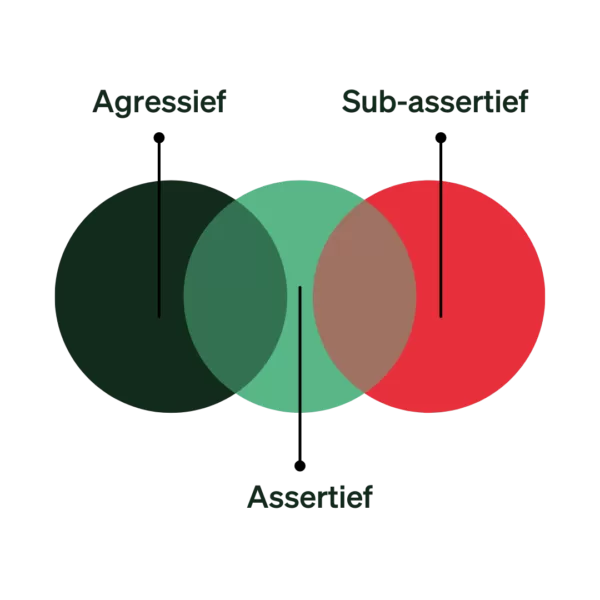 Assertiviteit - Zuidema